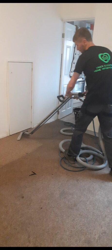 Services - Vines Cleaning & Home Improvements